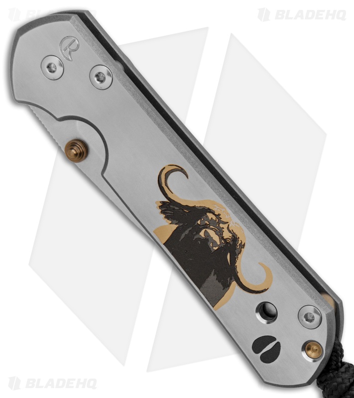 Chris Reeve Small Sebenza 21 Knife CGG Buffalo (2.94" Stonewash) - Blade HQ