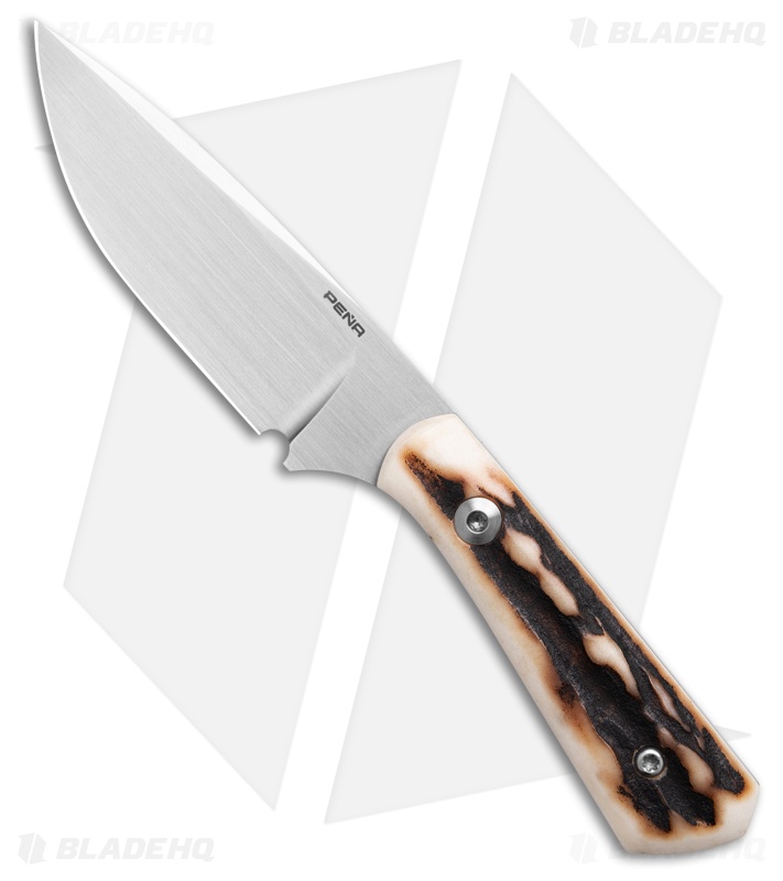 Pena Knives Custom Fixed Blade Knife Stag Horn (3" Satin) - Blade HQ