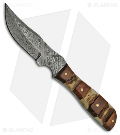 Tallen Mini Hunter Fixed Blade Knife Stag Bone/Wood (6.25" Damascus ...