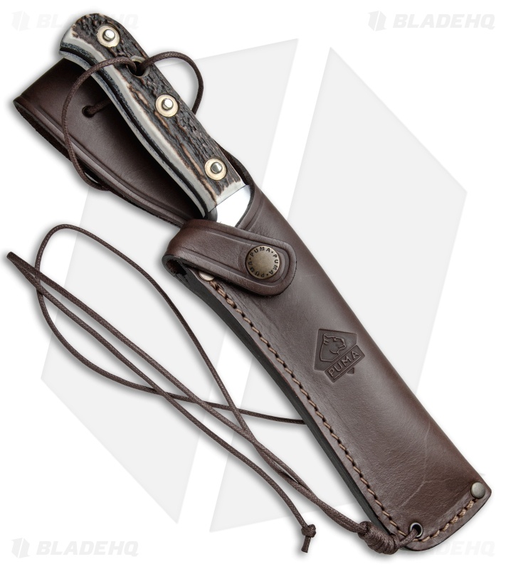 Puma White Hunter Fixed Blade Knife Stag Horn (6.1" Satin) 116375 ...