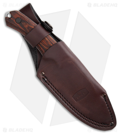 Buck 664 Alpha Hunter Fixed Walnut (3.6" Satin) - Blade HQ