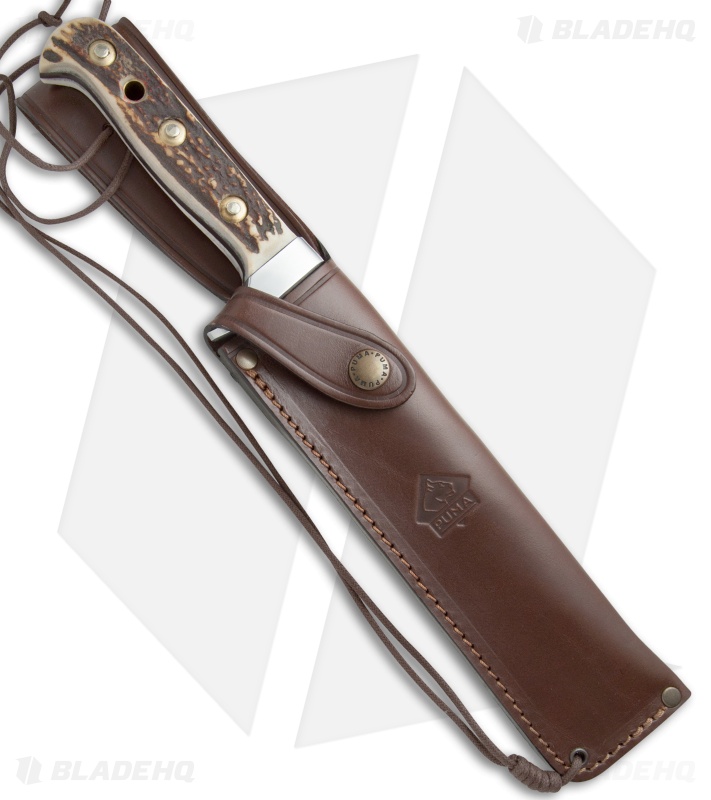 Puma Phoenix Bowie Fixed Blade Knife Stag (8" Satin) 116376 - Blade HQ