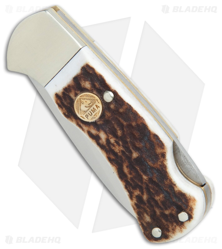 Puma 4-Star Mini Lockback Folding Knife Stag (2.1" Satin) 210700 - Blade HQ