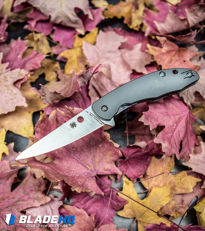Spyderco Mantra 2 Flipper Knife Titanium (3.2" Satin) C203TIP - Blade HQ