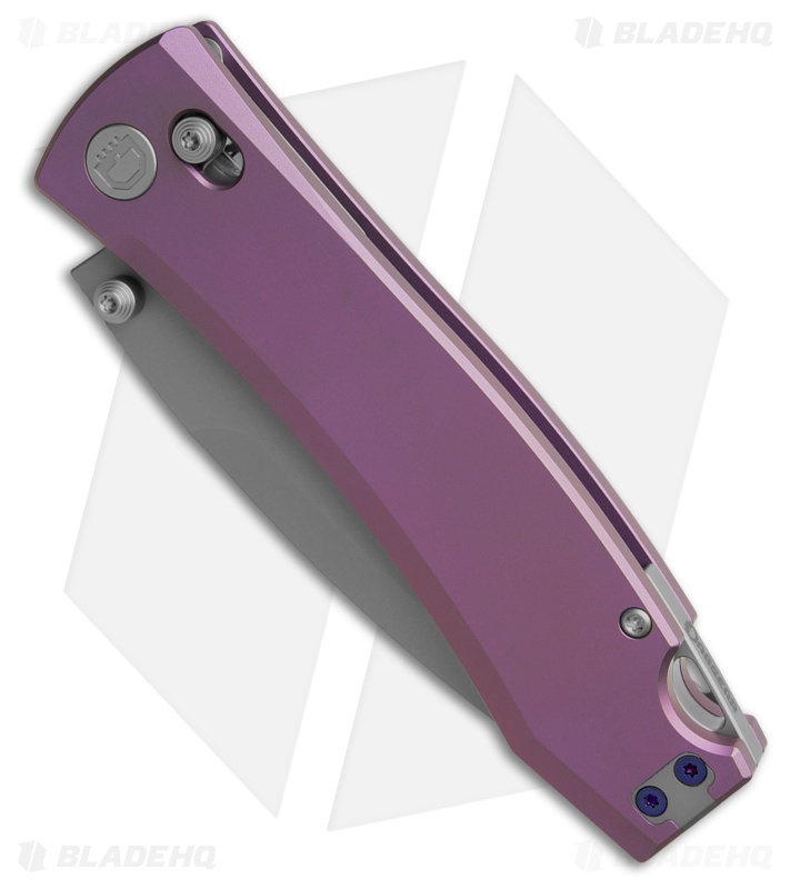 Daggerr Knives Nightmare X-Lock Purple Ti Drop Point SW M390